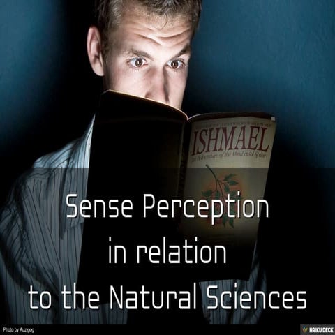 Sense Perception in relation to the Natural Sciences | PDF