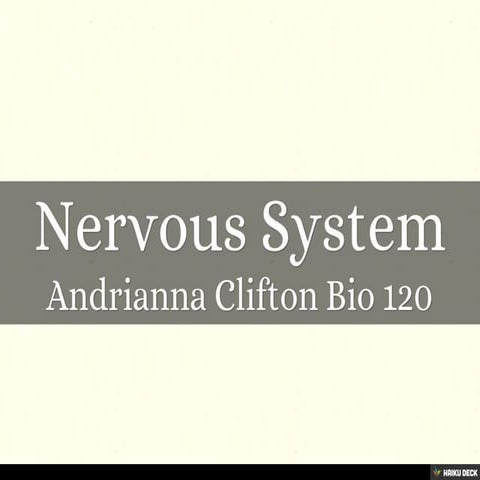 "Gentleman of Rio en Medio" | PDF