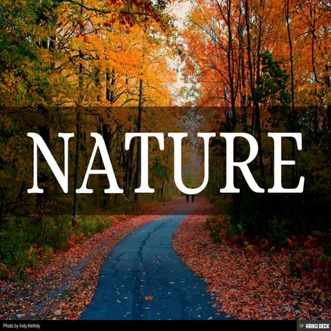 nature | PDF