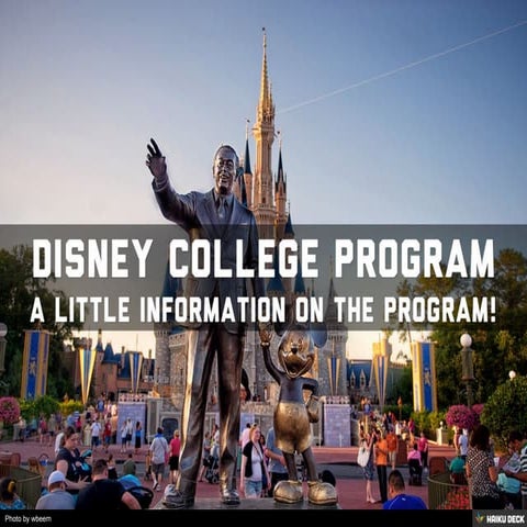 Disney College Program | PDF