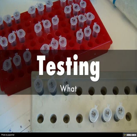 Testing | PDF