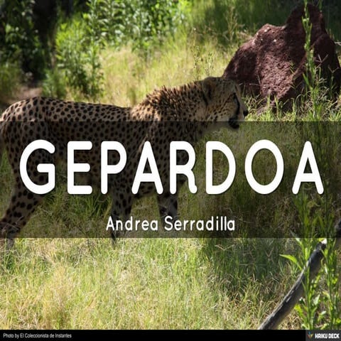 GEPARDOA | PDF