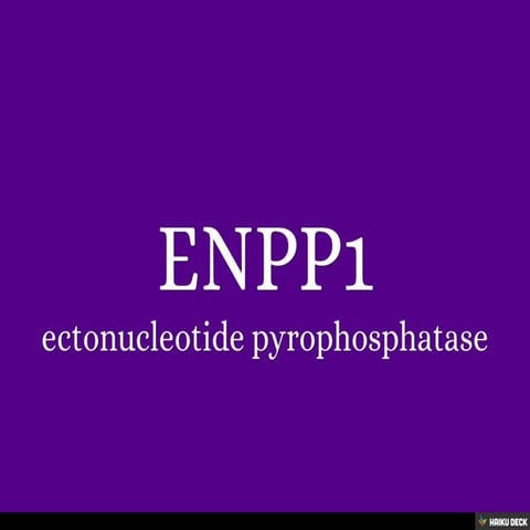 ENPP1 | PPT