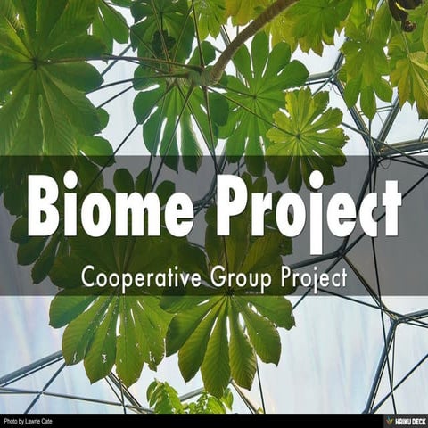 Biome Project | PPT