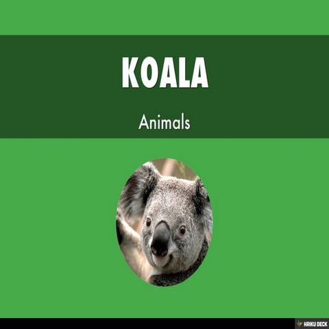 KOALA | PPT