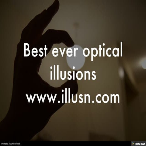 Best Optical Illusions | PDF