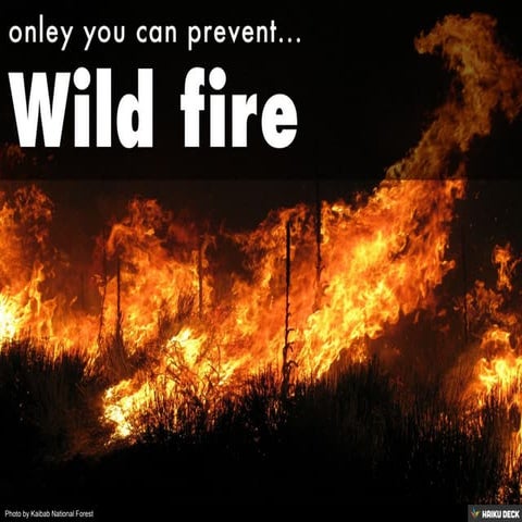 Wild fire | PDF