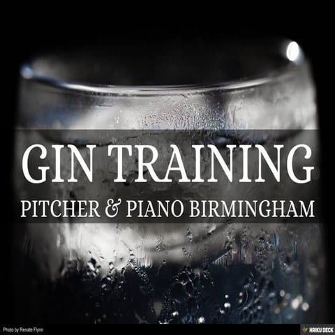 Gin Training | PDF