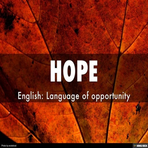 HOPE | PDF