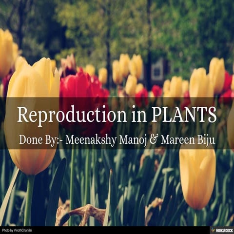Reproduction in PLANTS | PPT