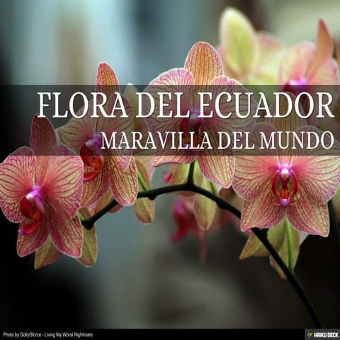 FLORA DEL ECUADOR | PPT