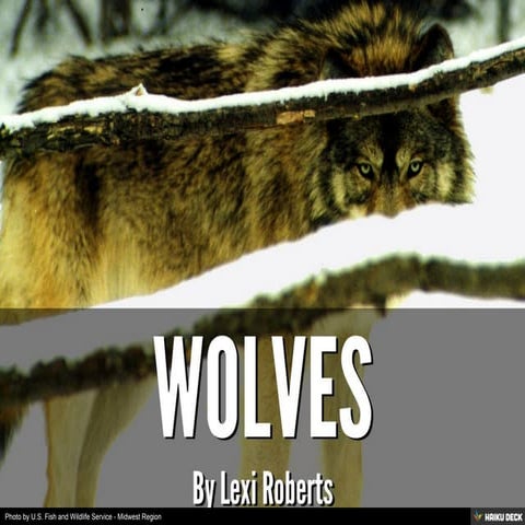 Wolves | PPT