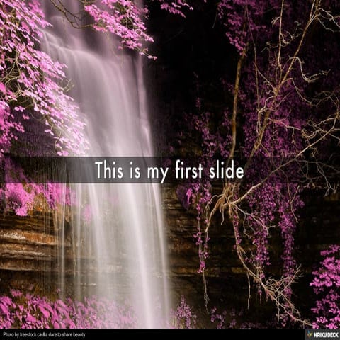 my first slide | PDF