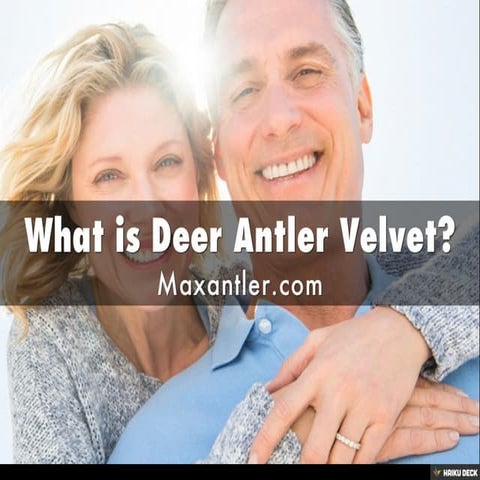What is Deer Antler Velvet? | PPT