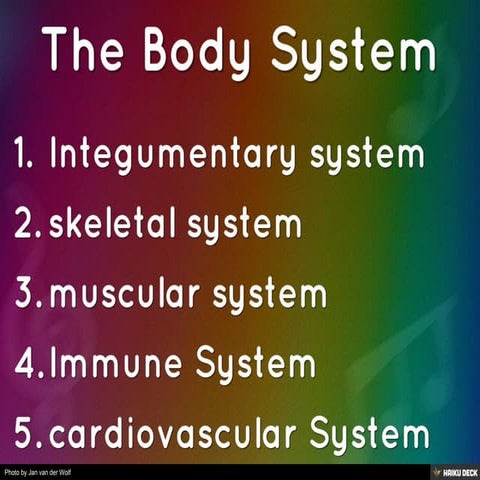 The Body System | PDF