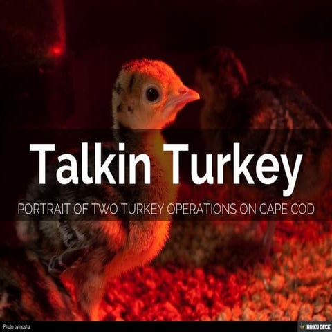 Talkin Turkey | PPT