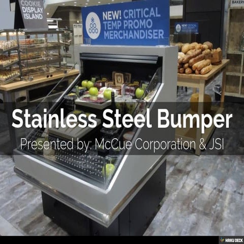 Stainless Steel Bumper | PPT