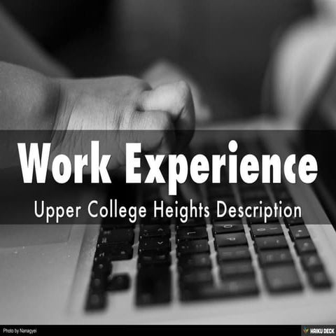 Work Experience | PDF