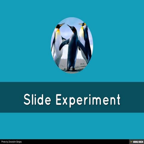 Slide Experiment | PPT