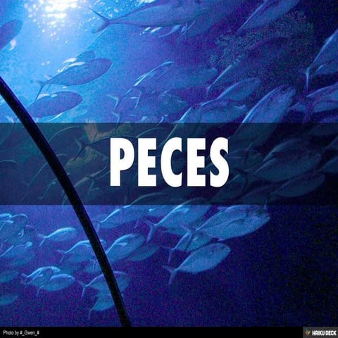 PECES | PDF