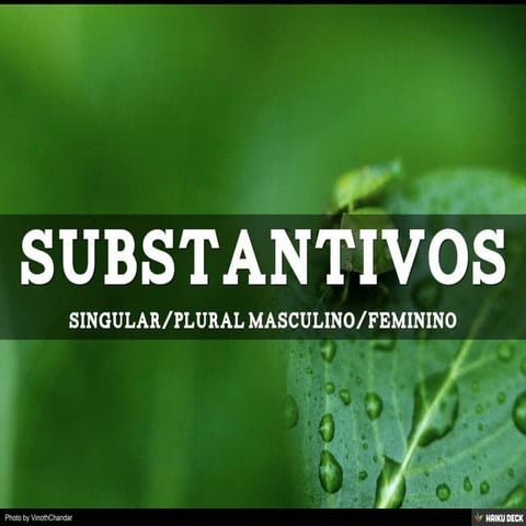 SUBSTANTIVOS | PDF