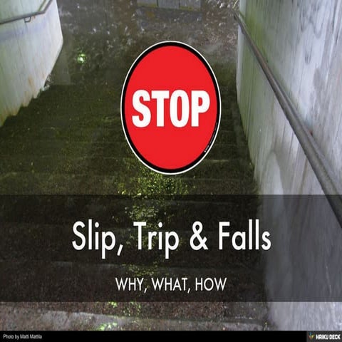 Slip, Trip & Falls | PDF