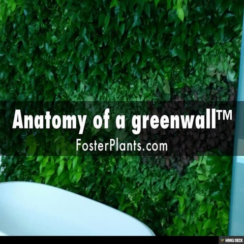 Anatomy of a greenwall™ | PPT