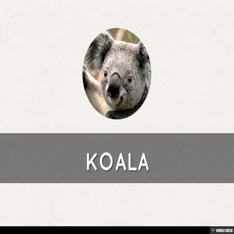 KOALA | PDF