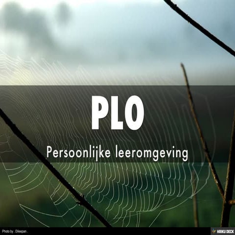 PLO | PPT