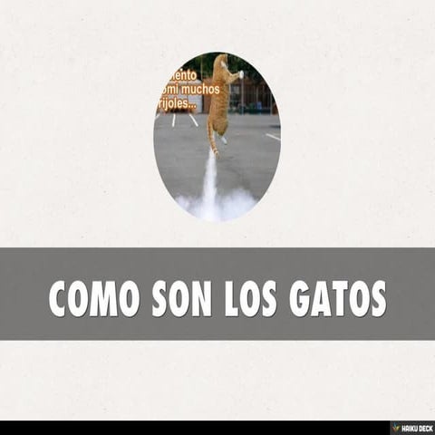 COMO SON LOS GATOS | PPT
