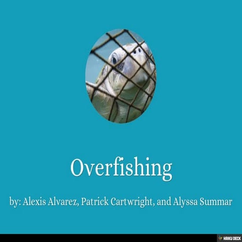 Overfishing | PDF