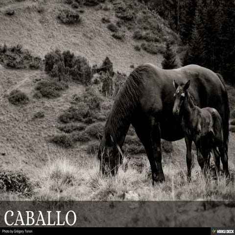 ANIMALES DE LA GRANJA | PDF