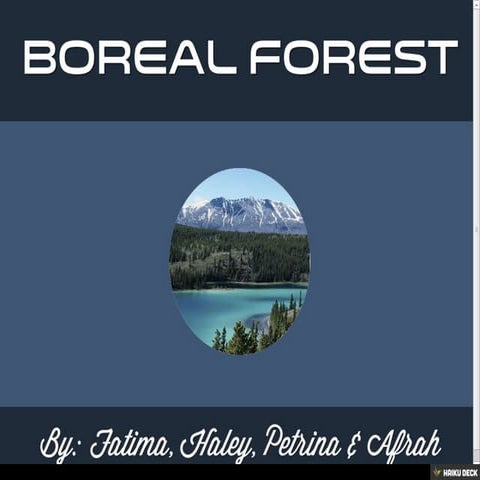 Boreal Forest | PDF