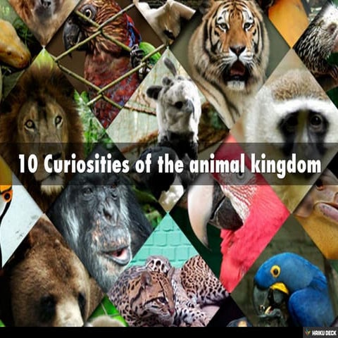 10 Curiosities of the animal kingdom | PDF