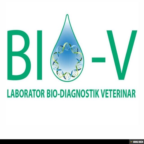 BVD, diarreja virale e gjedhit | PPT