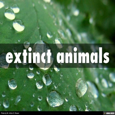 extinct animals | PPT