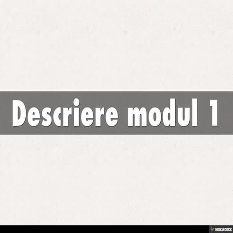Descriere modul 1 | PDF