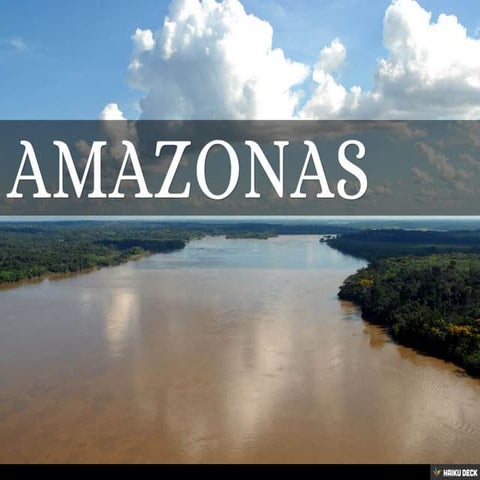 AMAZONAS | PPT