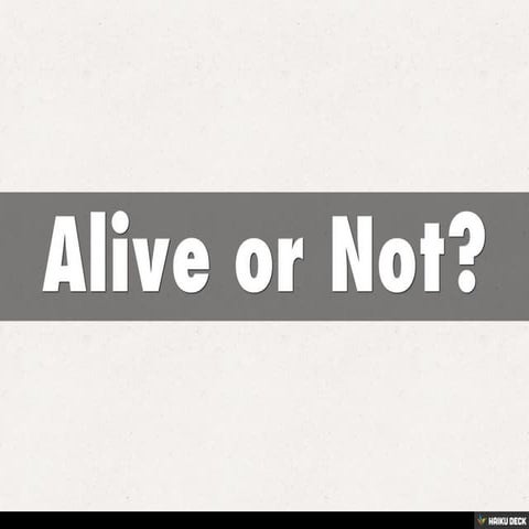 Alive or Not? | PPT