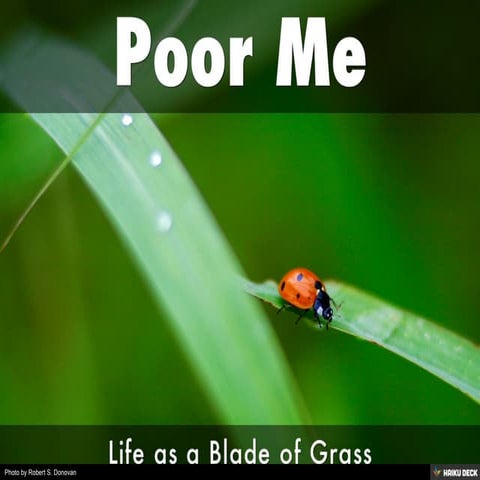 Poor Me | PPT