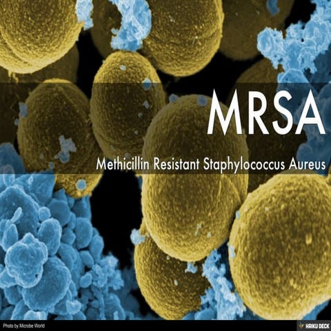 MRSA | PDF