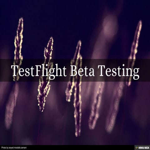 TestFlight Beta Testing | PDF