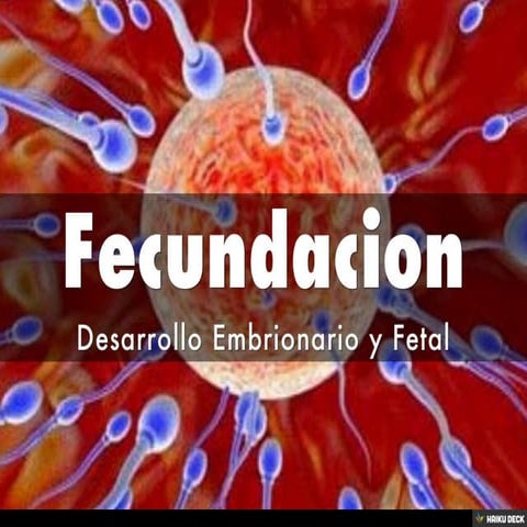 Fecundacion | PPT