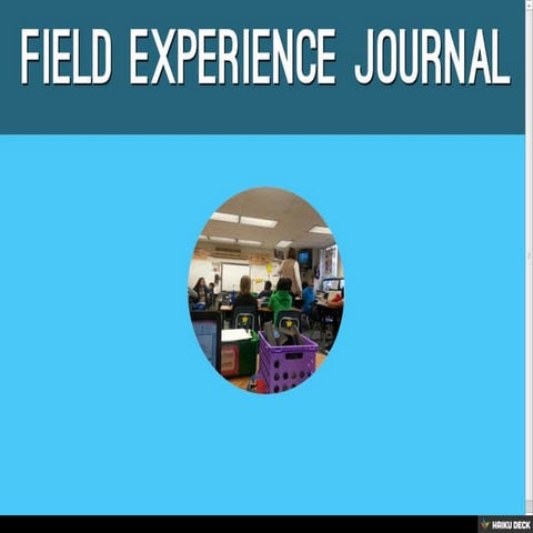 Field Experience Journal | PDF
