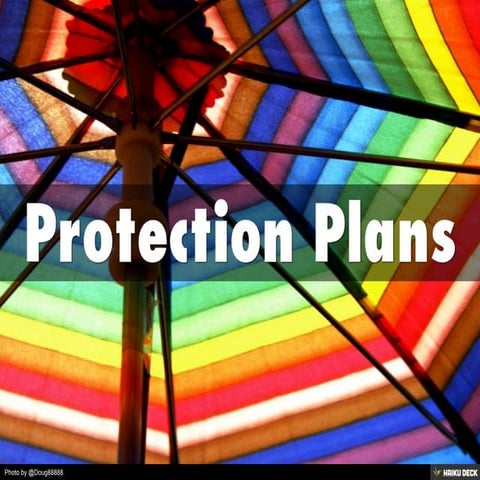 Protection Plans | PPT