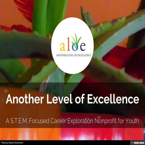 Another Level of Excellence | PPT