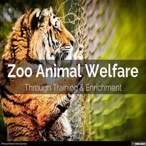 Zoo Animal Welfare | PDF
