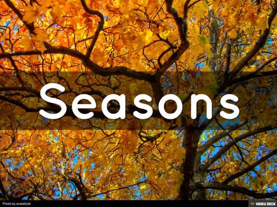 LOS CINCO SENTIDOS | PPT