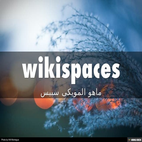 wikispaces | PDF