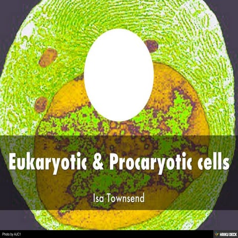 Eukaryotic & Procaryotic cells | PDF | Biological Sciences | Science